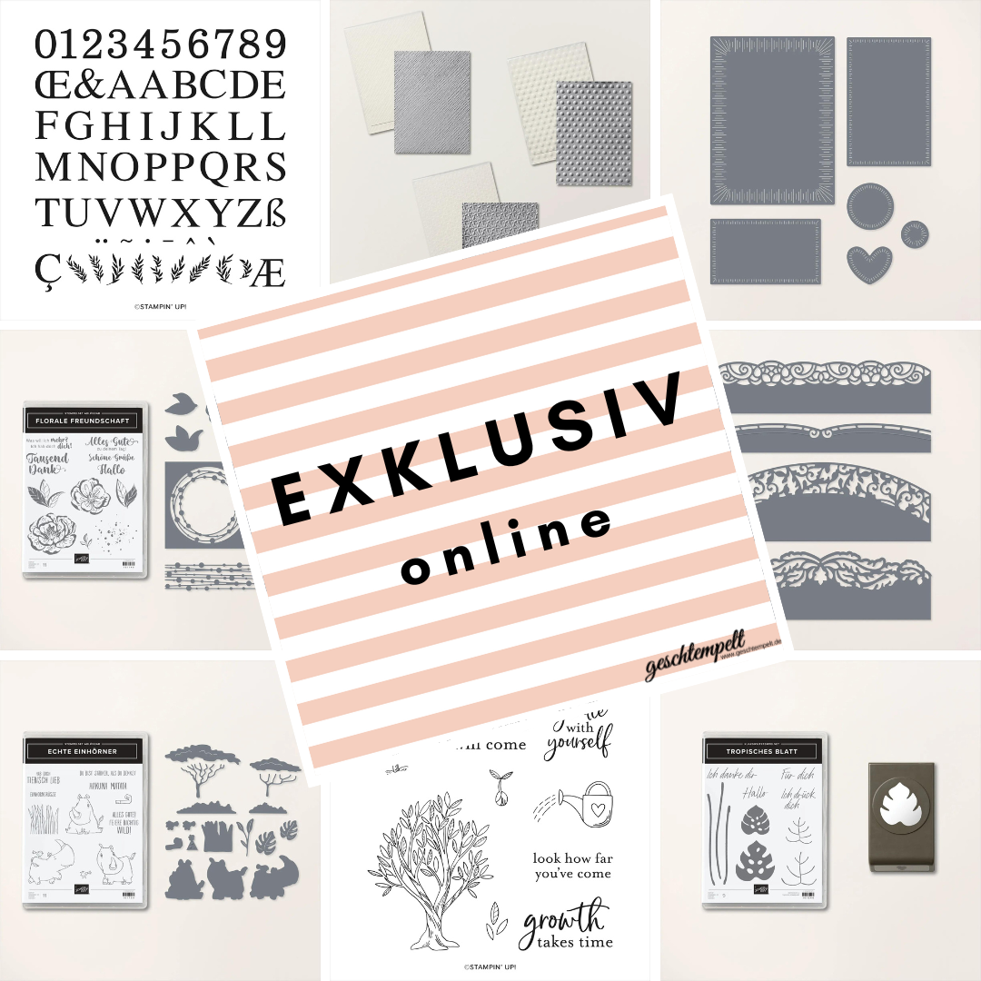 Exklusiv online – tolle neue Produkte bei Stampin‘ Up!, die Du nicht im Katalog findest – schau ...